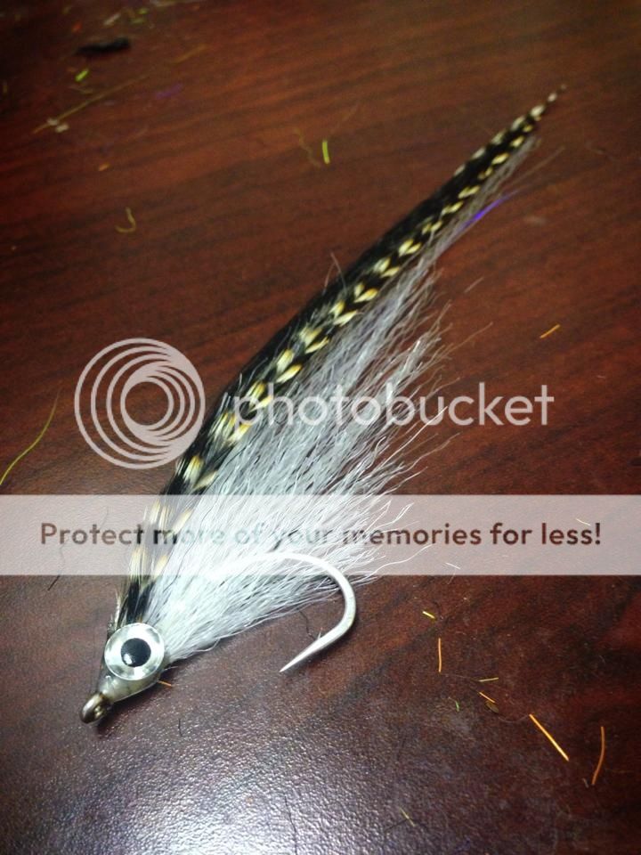 3C71C2B7-4249-4FDE-8C30-412134E5F981.jpg Photo by chrisfranzen ...